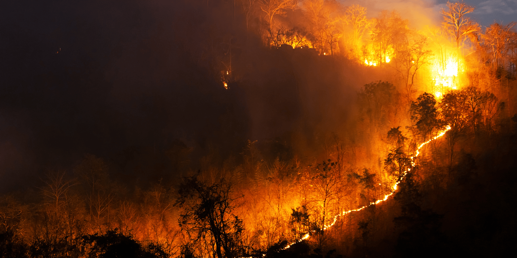 How to Protect Buildings and Occupants from Wildfires and WUI Threats