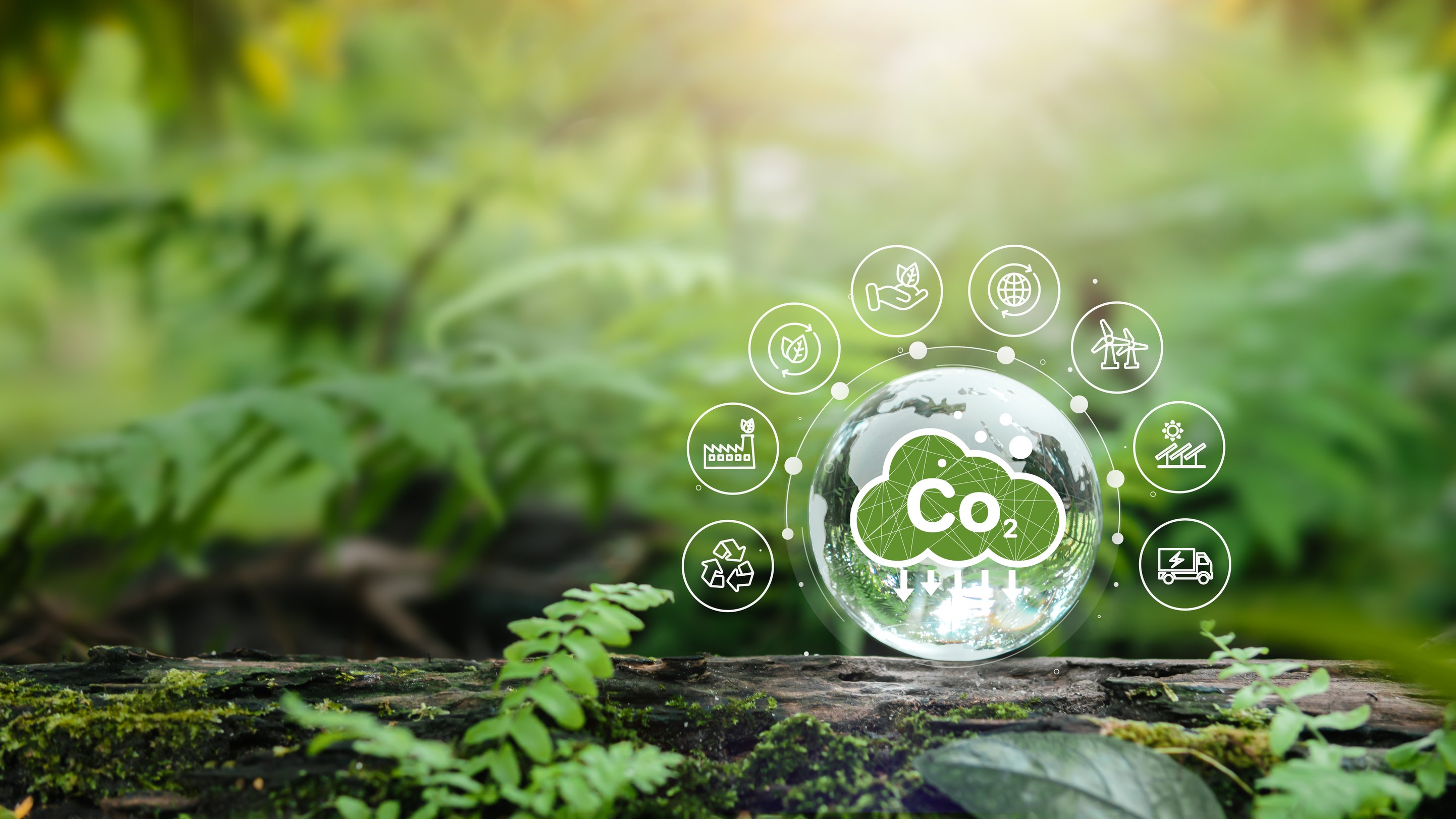How to Build a Decarbonization Plan for a Building